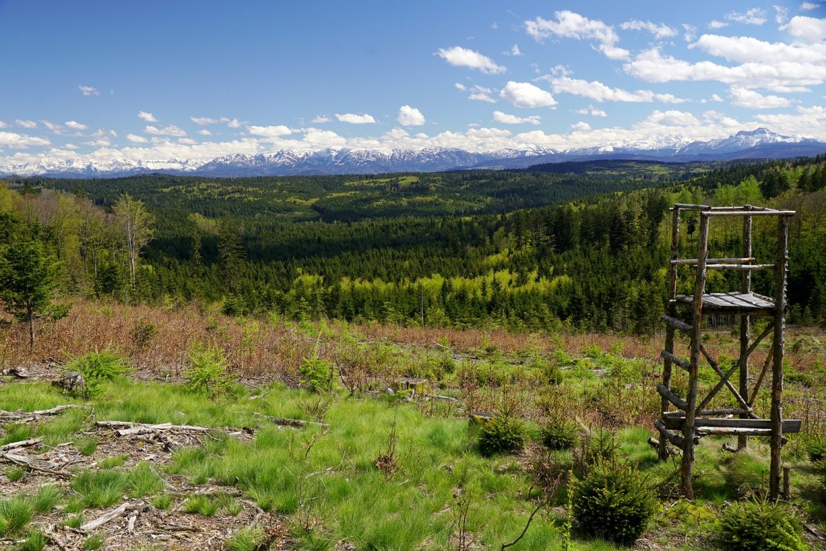 Geinberg - s'Innviertel | WEBHOTELS